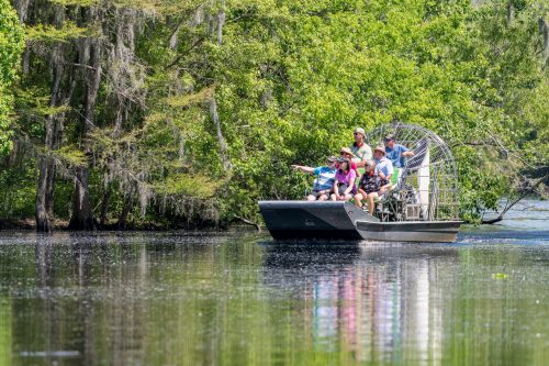 Pictures | Swamp Adventures NOLA